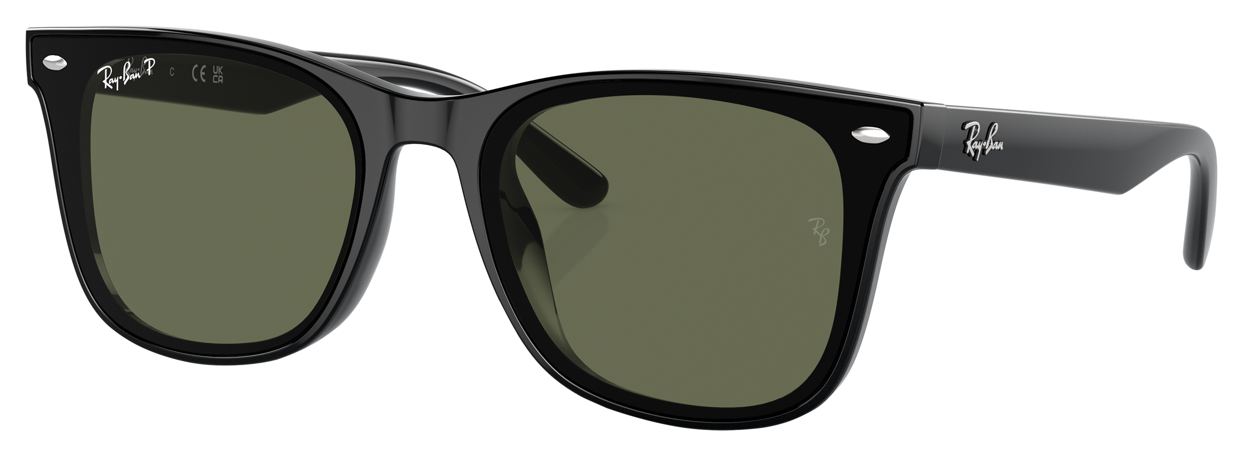 Ray-Ban RB4420 Polarized Sunglasses | Bass Pro Shops